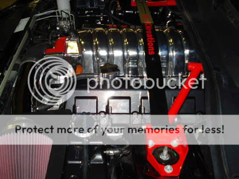 Hydrographics (interior and engine bay pieces) | Charger Forums