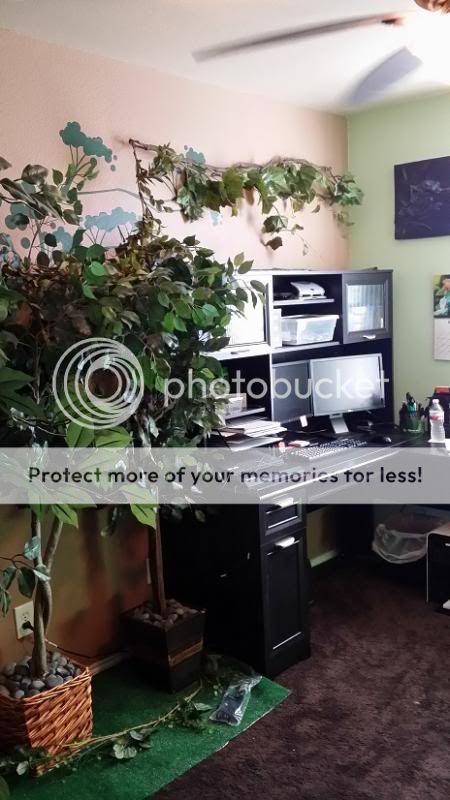 ***post your free range setup pictures here*** | Chameleon Forums