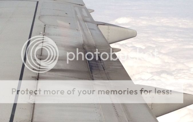 leaking oil on wing - Airlines - FlightAware Discussions