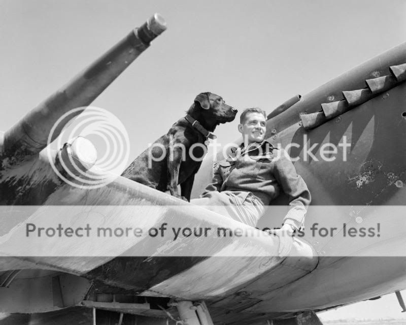 Spitfire weathering - Page 2 - Aircraft WWII - Britmodeller.com