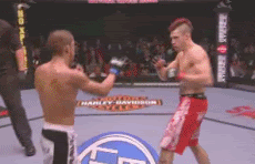 Gif help | Freakin' Awesome Network Forums