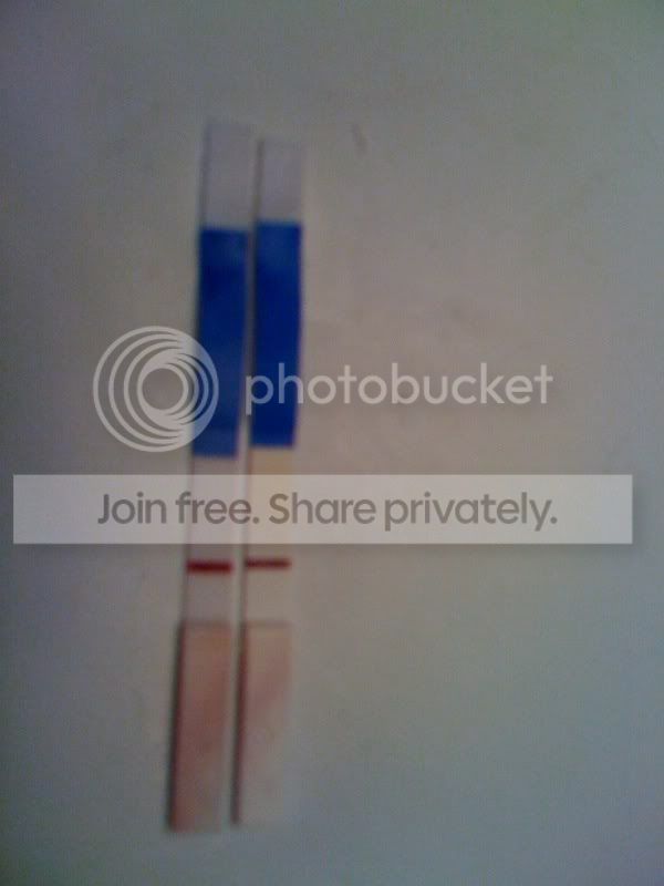Definitely BFP pregnancy test, negative blood test? | BabyCenter