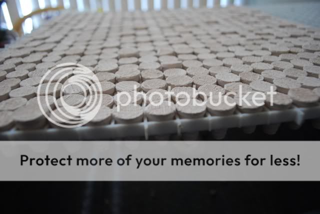 Making frag plugs | Reef2Reef