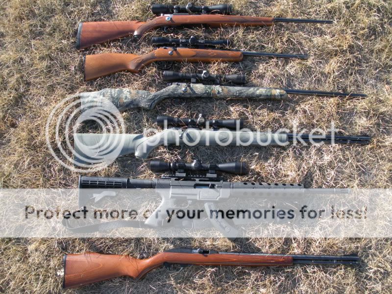 Best Beginner .22 Rifle | Rimfire Central Firearm Forum