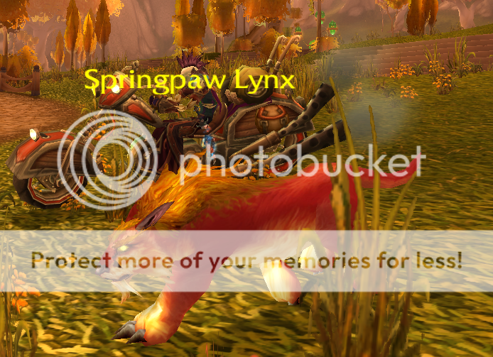 Linx models updated? - WoW Petopia Community