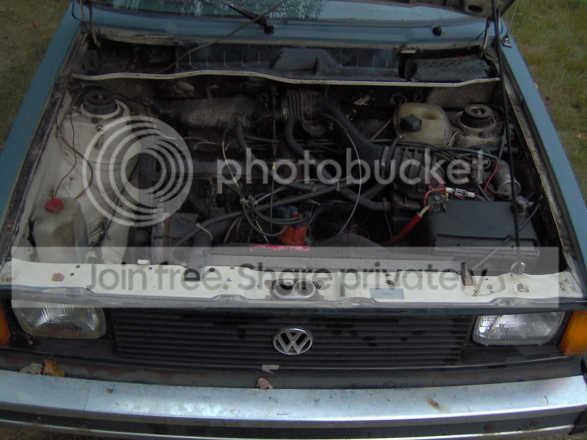 My newly aquired 84 Rabbit | VW Vortex - Volkswagen Forum