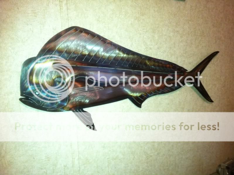 Fish of the day - PlasmaSpider