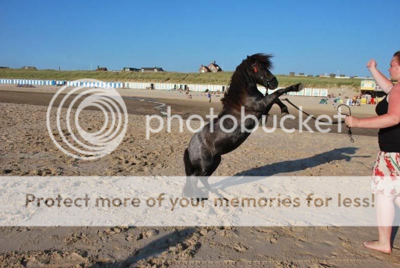 Kailiegh en Donder op het strand • Bokt.nl