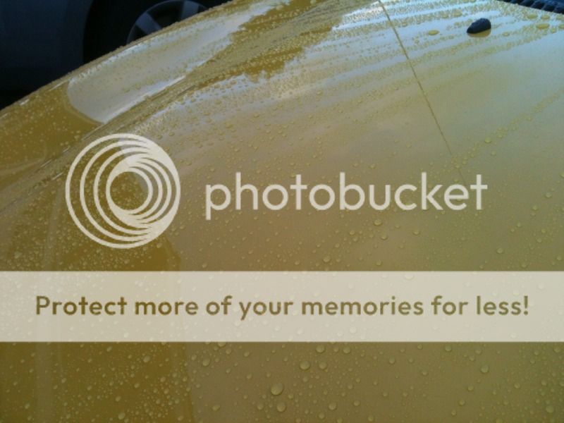 Touch-less car wash...aint no body got time for that! | Ford Focus ST Forum