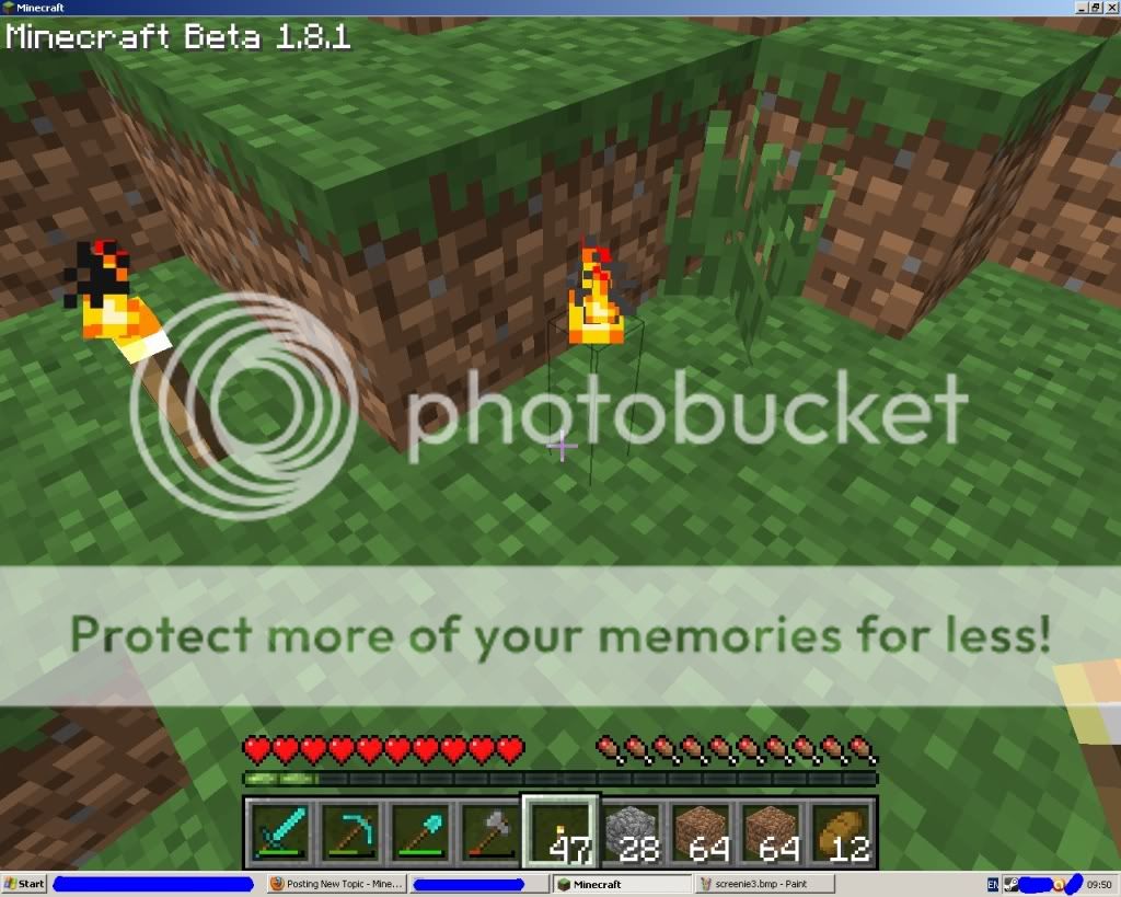 Invisible chunks and/or chunks not updating properly - Legacy Support ...